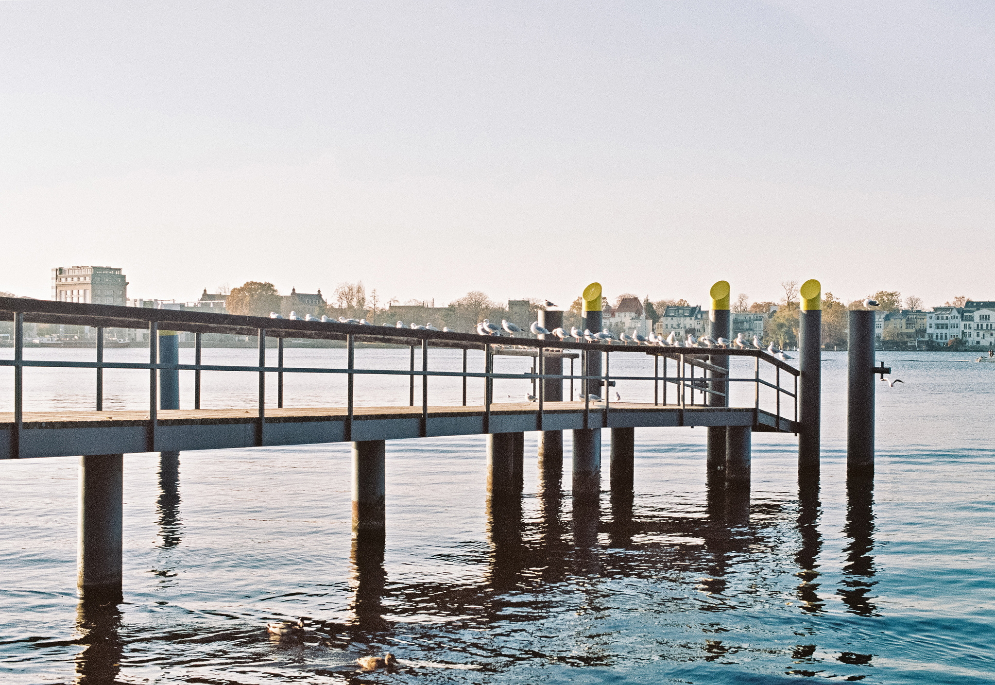 Kodak Portra 160 film review – more than portraits – PANORAMA CIRCLE