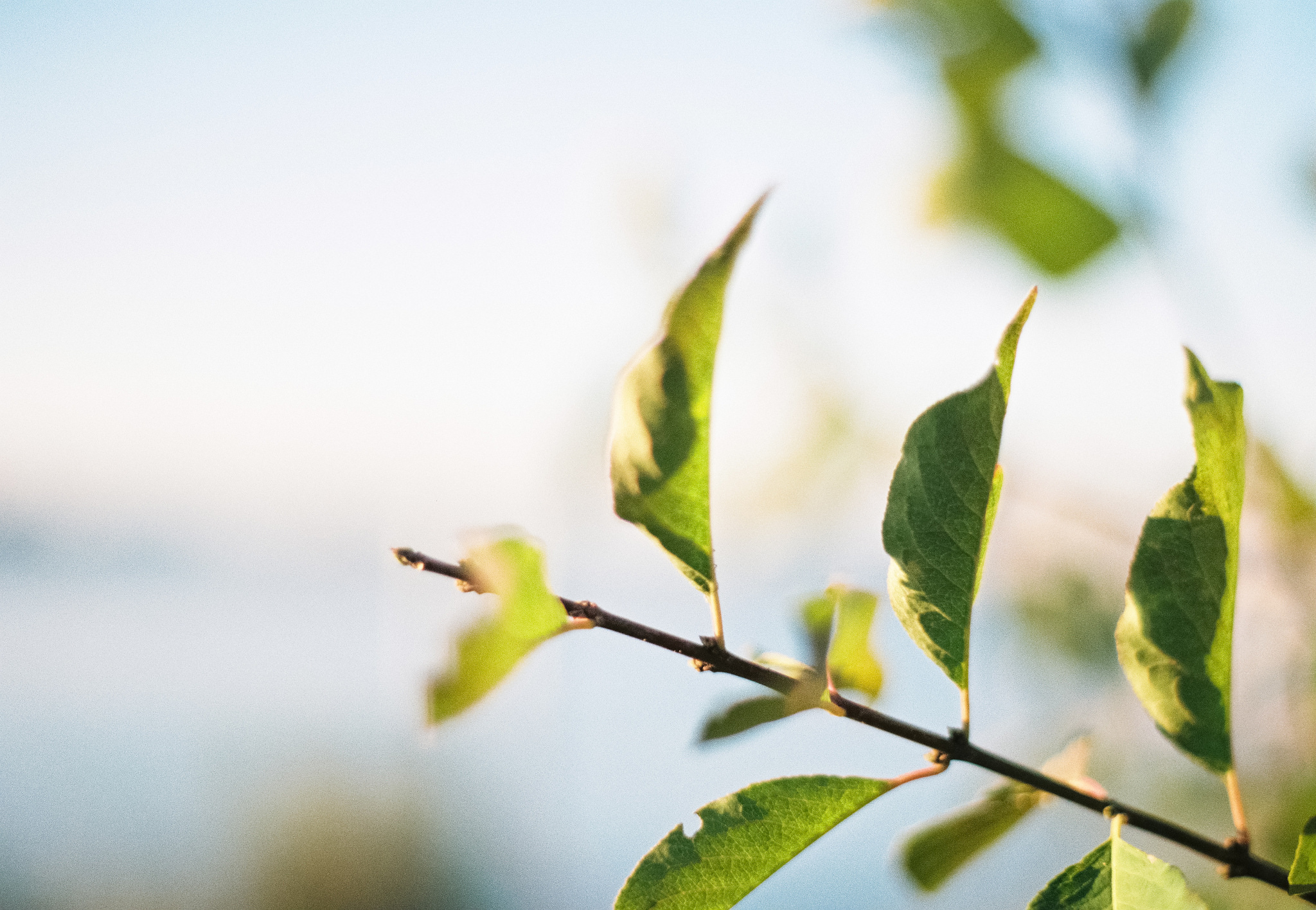 Kodak Portra 160 film review – more than portraits – PANORAMA CIRCLE